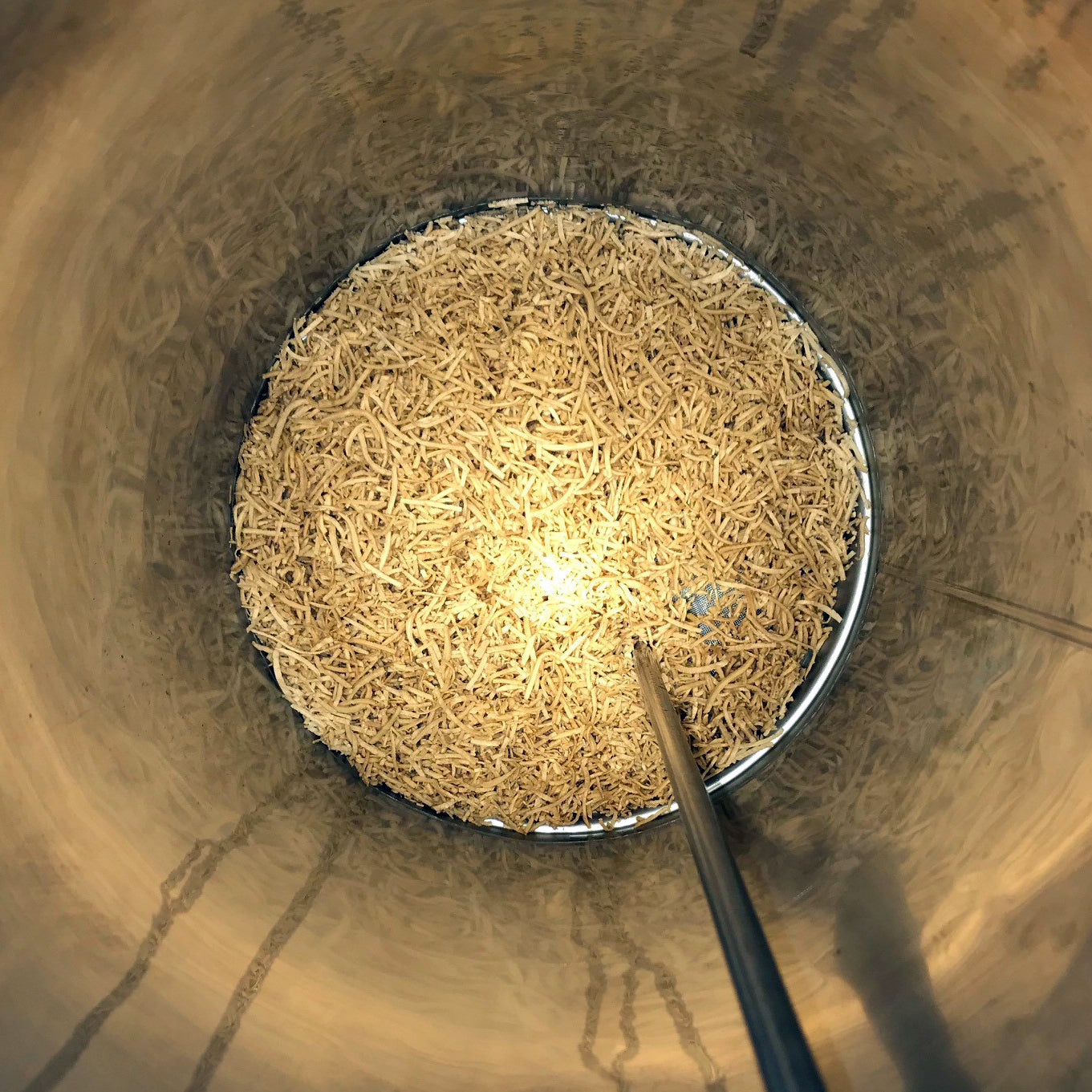 Hop Stopper - The Electric Brewery